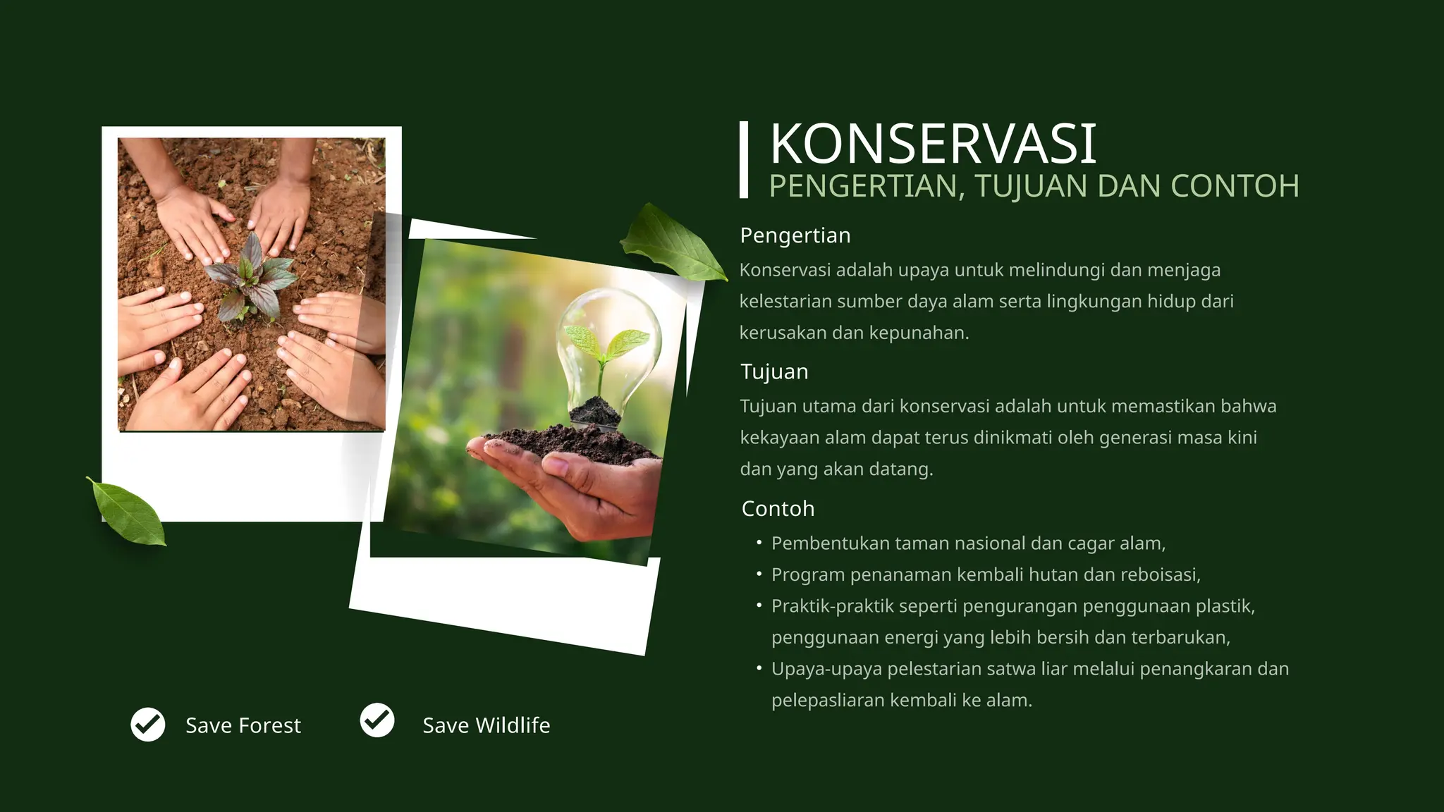 2. TNRAW SEBAGAI KAWASAN KONSERVASI.pptx