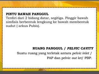 PPT anatomi panggul dan siklus hormonal wanita | PPT