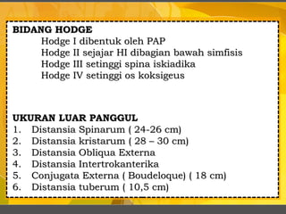 PPT anatomi panggul dan siklus hormonal wanita | PPT