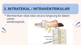 Rute dan Pengembangan Obat. Rute pemberian obat dan Evaluasi dan ...