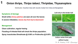 Pests of Onion and Garlic_Bionomics_IPM_Dr.UPR.pdf