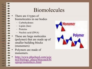 2.3 Biomolecules.for iit students 12c ppt | PPT