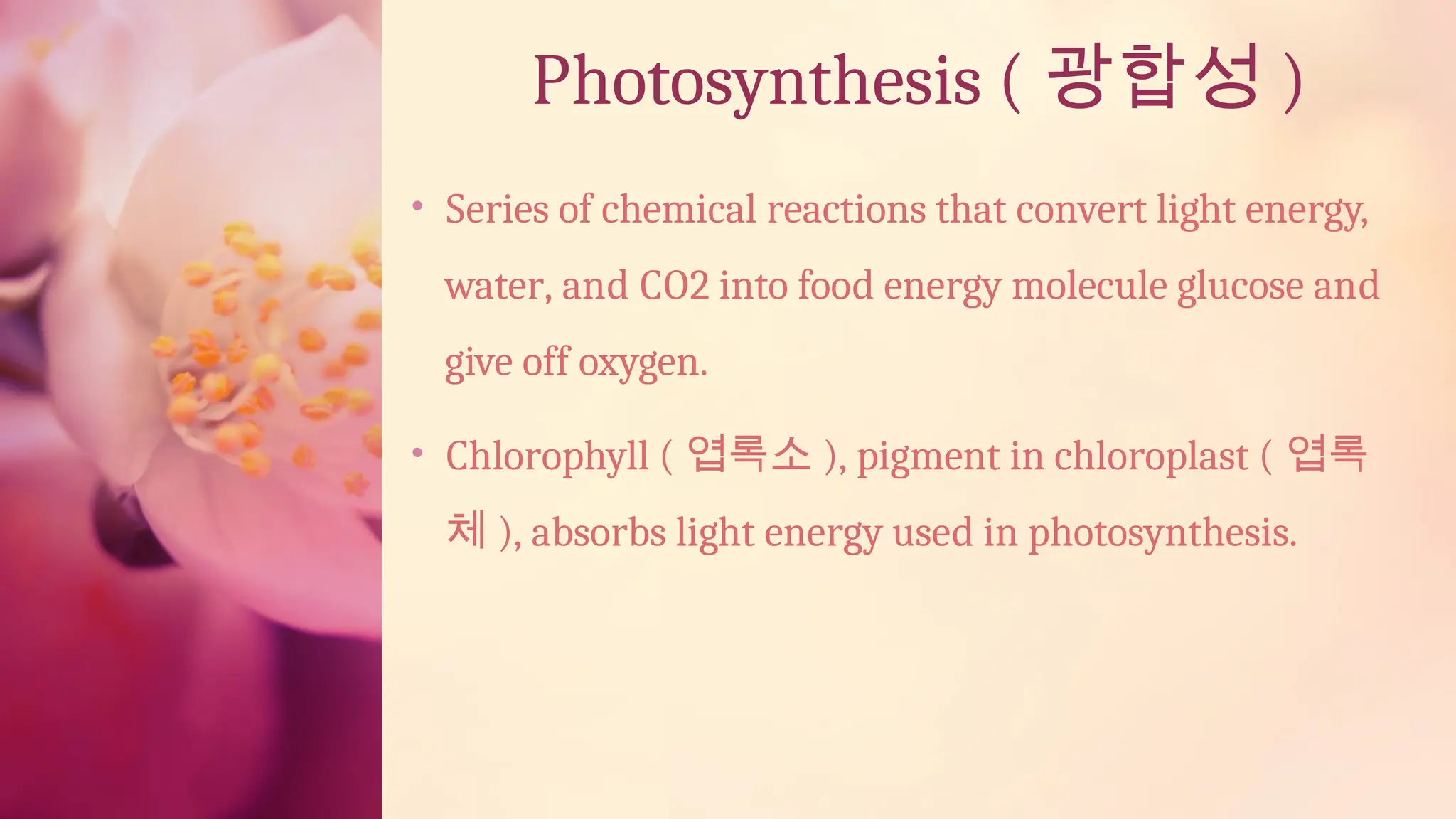 Cells and Energy for middle school life science | PPT