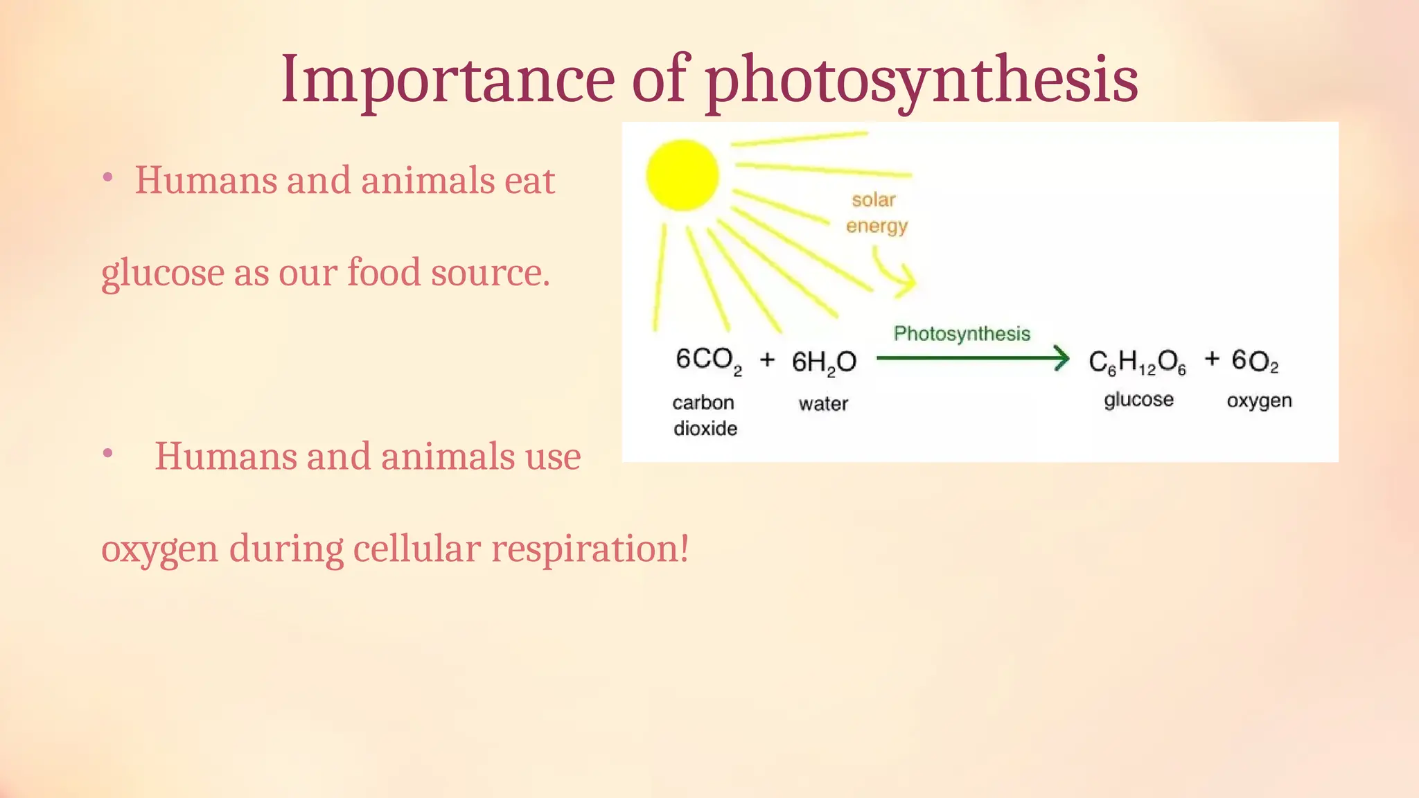 Cells and Energy for middle school life science | PPT