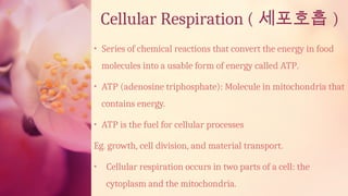 Cells and Energy for middle school life science | PPT