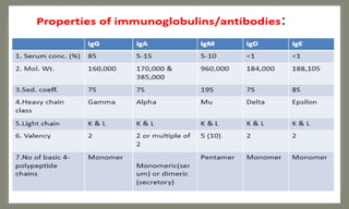 2 2 Antibody Pptx Student Notes For Immunology Pptx
