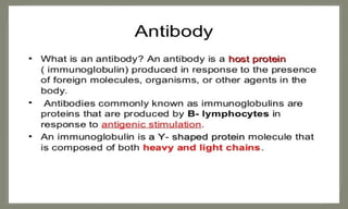 2.2. Antibody.pptx student notes for immunology | PPTX