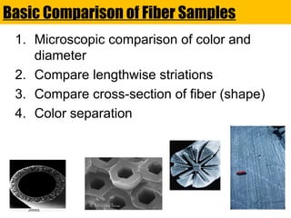 Textile Fiber Identification testing method | PPT