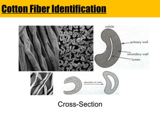 Textile Fiber Identification testing method | PPT