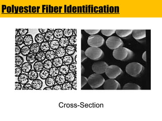 Textile Fiber Identification testing method | PPT