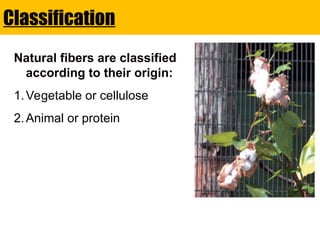 Textile Fiber Identification testing method | PPT