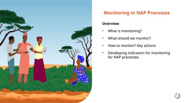 Monitoring in National Adaptation Plan (NAP) Processes | PPT