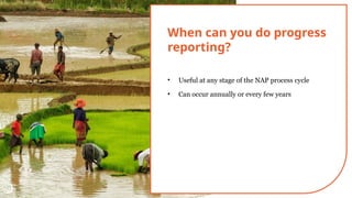National Adaptation Plan Progress Reporting | PPTX