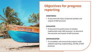 National Adaptation Plan Progress Reporting | PPTX