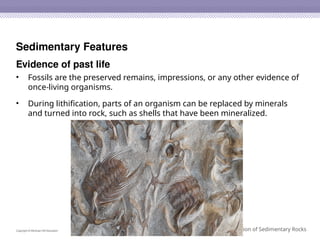 2. Formation of Sedimentary Rocks in Earth Science .pptx | Geology ...