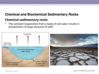 2. Formation of Sedimentary Rocks in Earth Science .pptx
