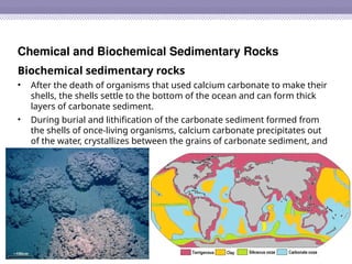 2. Formation of Sedimentary Rocks in Earth Science .pptx | Geology ...