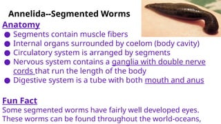 2.1 Invertebrates Porifera, Cnidaria, Platyhelminthes, Annelida.pptx