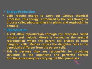 2. structureofcell-201006072001.....pptx