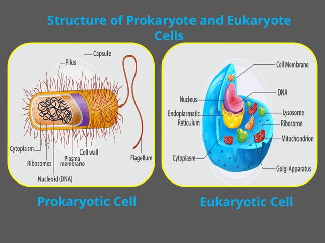 2. structureofcell-201006072001.....pptx
