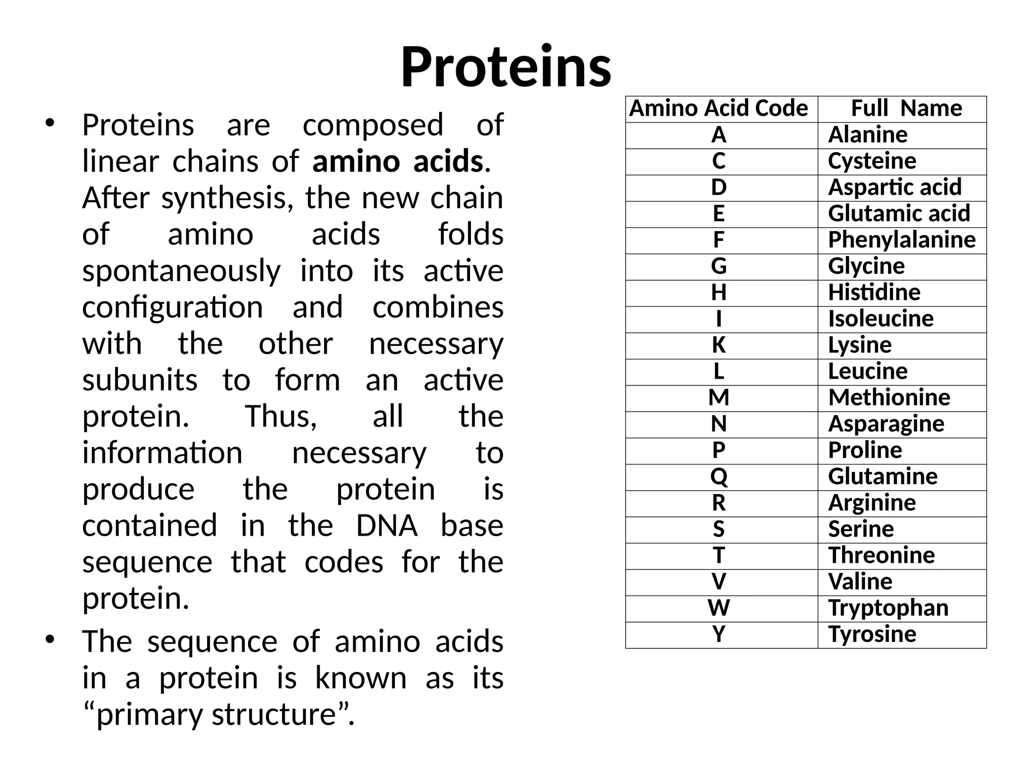2.4. Central Dogma of Molecular Biology(Protein Synthesis).pptx ...