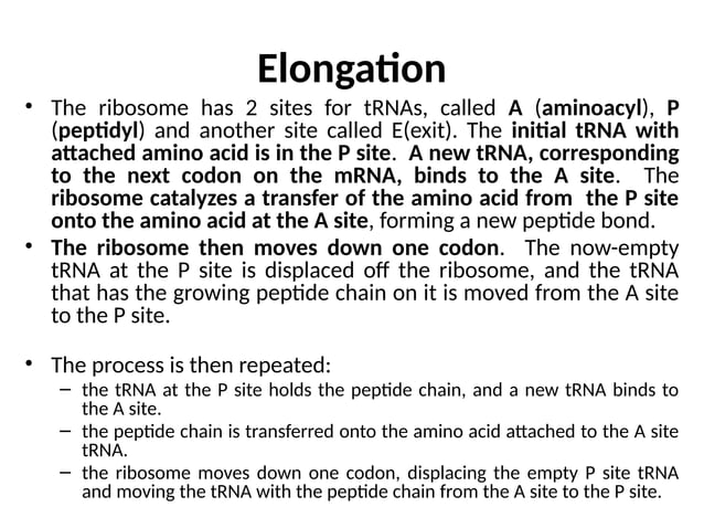 2.4. Central Dogma of Molecular Biology(Protein Synthesis).pptx ...