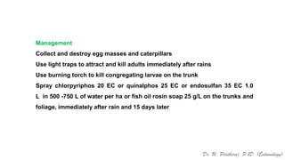 Pests of Moringa_Identification_Dr.UPR.pdf