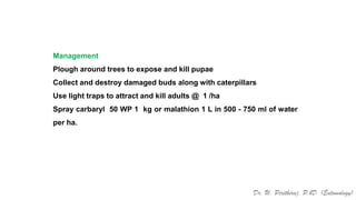 Pests of Moringa_Identification_Dr.UPR.pdf