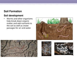 2. Soil Earth Science and how it all goes together.pptx