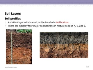 2. Soil Earth Science and how it all goes together.pptx