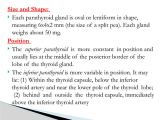 Anatomy & Physiology of Thyroid and parathyroid gland.pptx