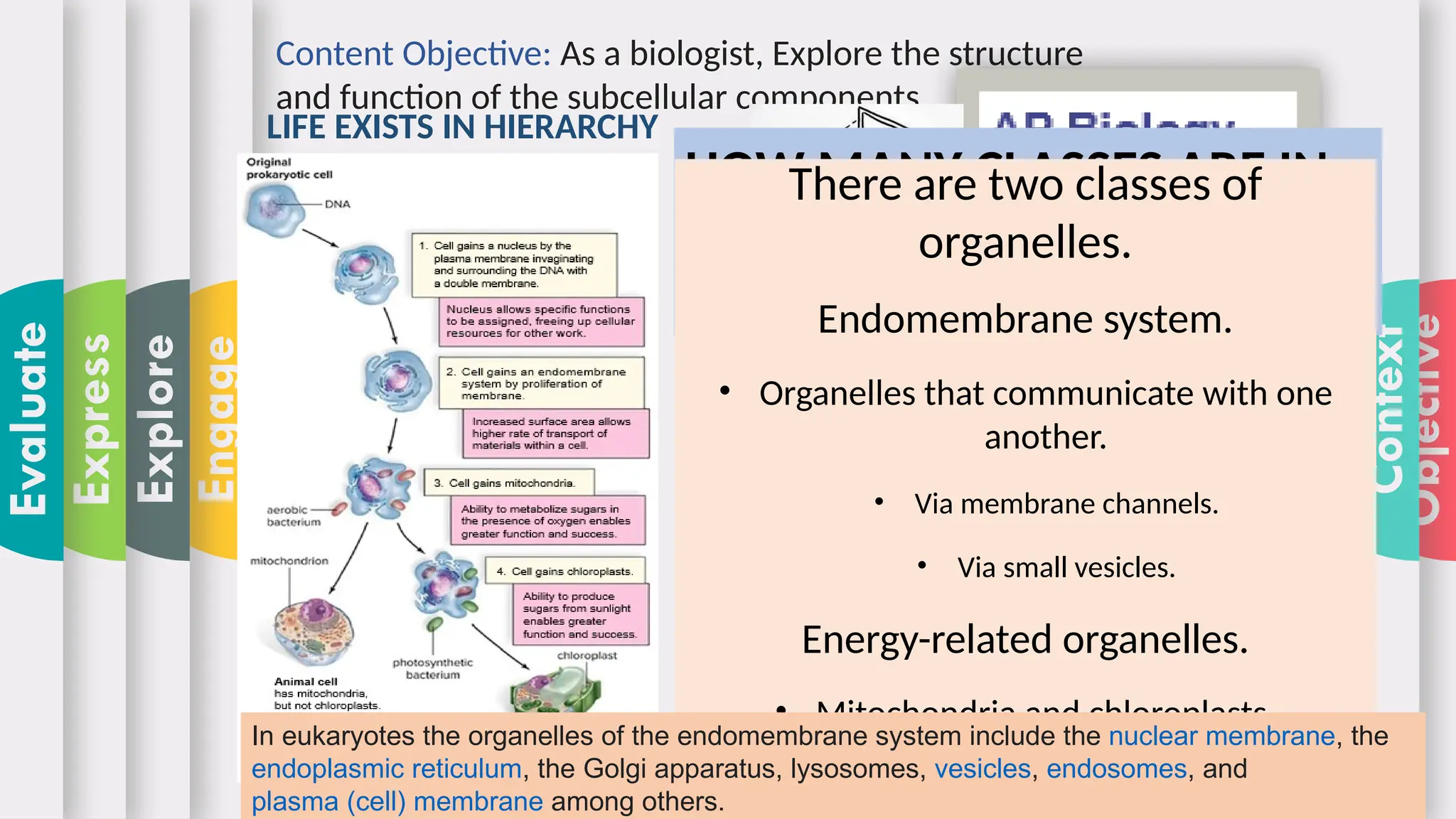 2.2 POWERPOINT AP BIO for grade 10,11 or 12 | PPTX | Biological ...