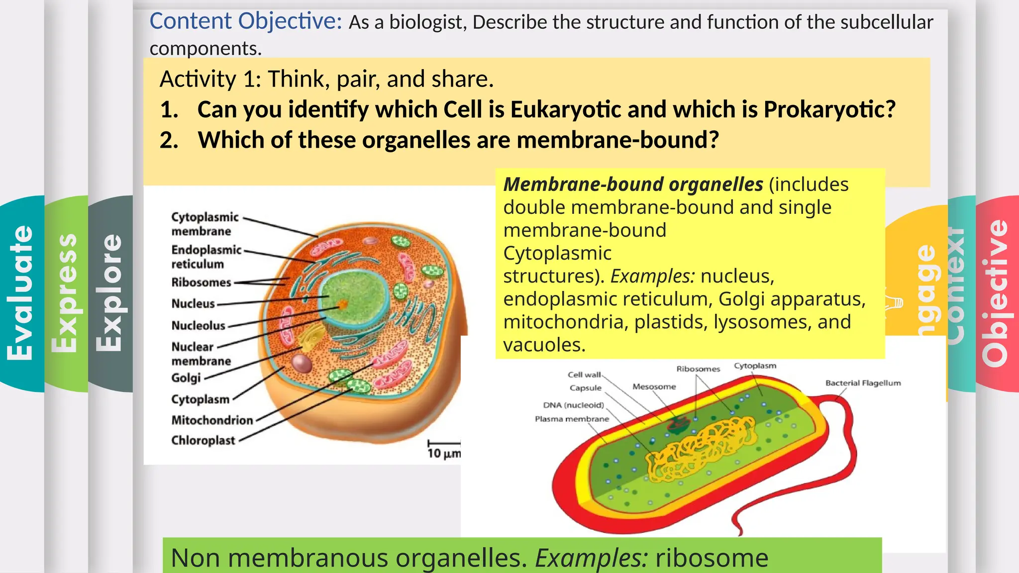 2.2 POWERPOINT AP BIO for grade 10,11 or 12 | PPTX