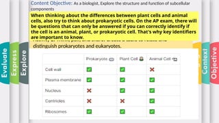 2.2 POWERPOINT AP BIO for grade 10,11 or 12 | PPTX | Biological ...