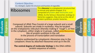 2.2 POWERPOINT AP BIO for grade 10,11 or 12 | PPTX