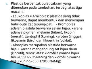 2. SEL.ppt (morfologi dan Fisiologi tumbuhan) | PPT