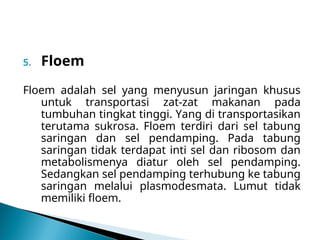 2. SEL.ppt (morfologi dan Fisiologi tumbuhan) | PPT