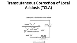2.Rebox Currents rebox current electro.pptx