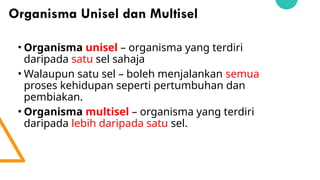 2.1 A_ Sel – Fungsi, Struktur dan Organisasi.pptx