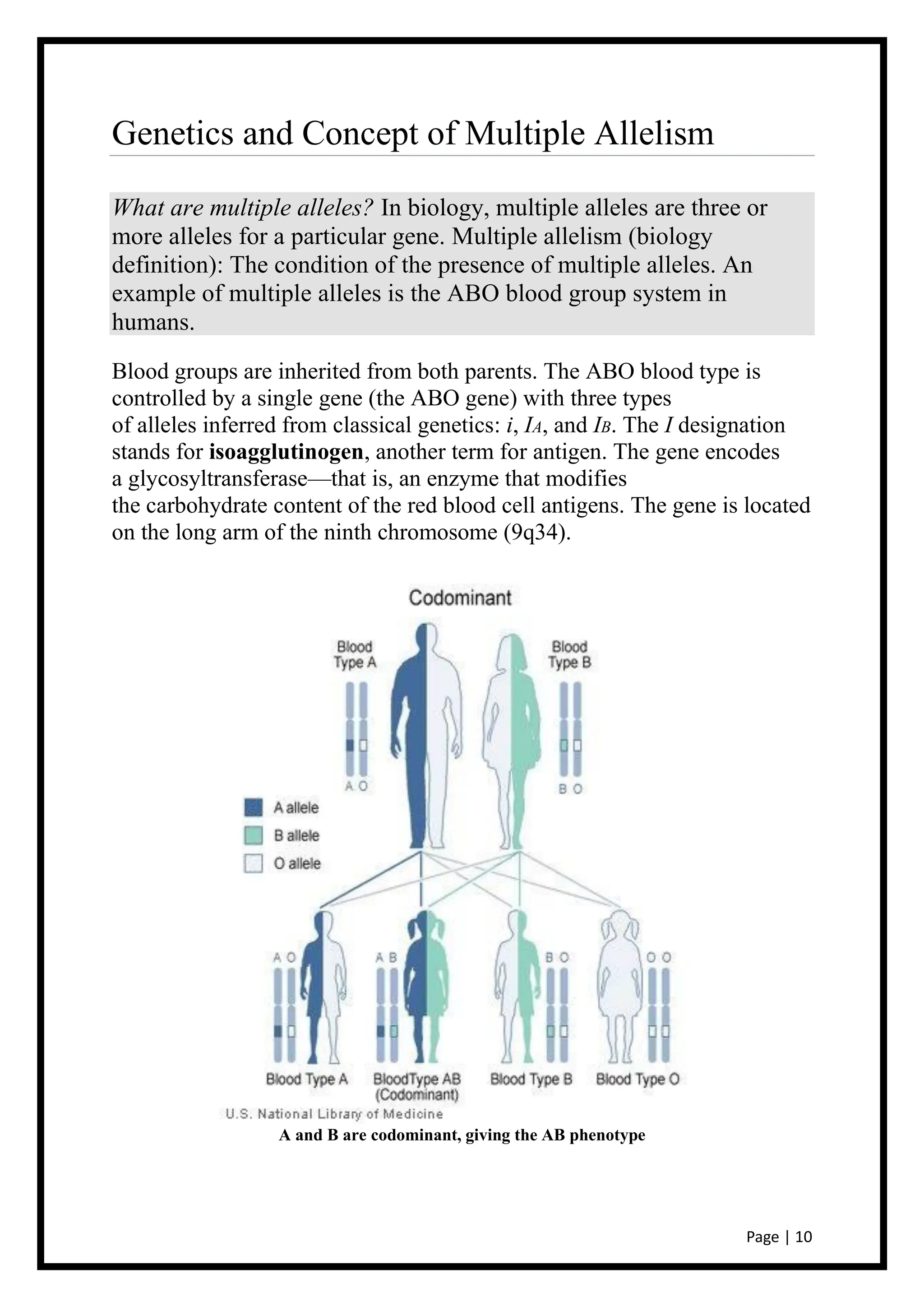 ABO Blood Grouping Biology Investigatory Project Class XII(12) | PDF