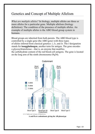 ABO Blood Grouping Biology Investigatory Project Class XII(12) | PDF