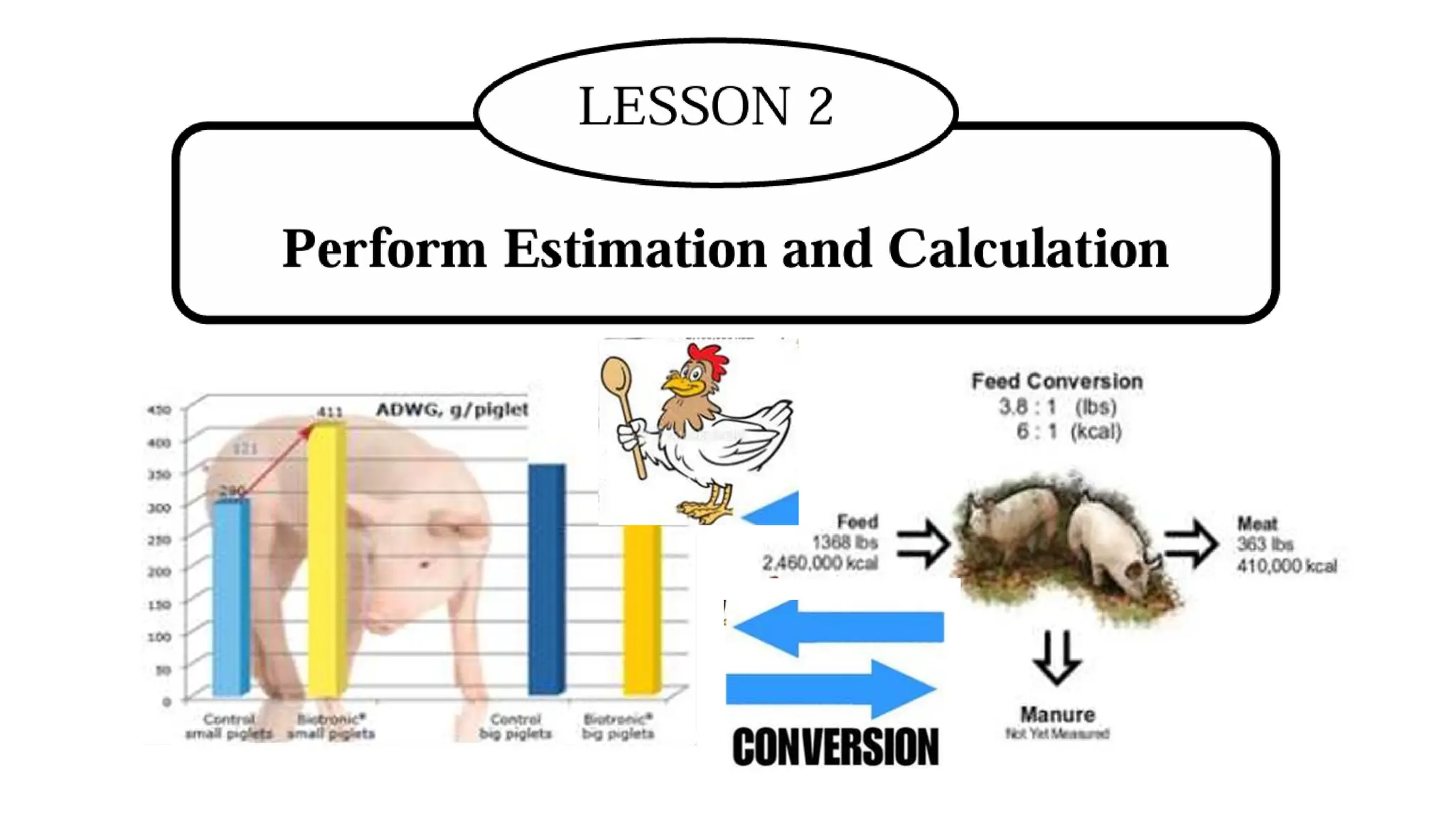 2. Perform Calculation and Estimation.pptx