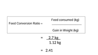 2. Perform Calculation and Estimation.pptx
