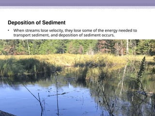2. Streams and Lakes Earth Science .pptx