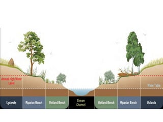 2. Streams and Lakes Earth Science .pptx