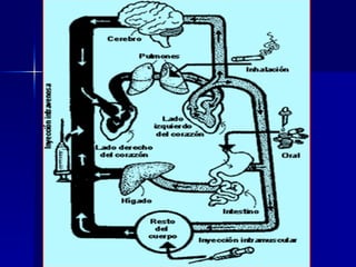2. AINES.ANTIIFLAMATORIOS NO ESTEROIDEO. | PPT
