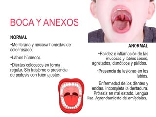 EXAMEN_FISICO y como identificar aleraciones por sistemas | PPTX