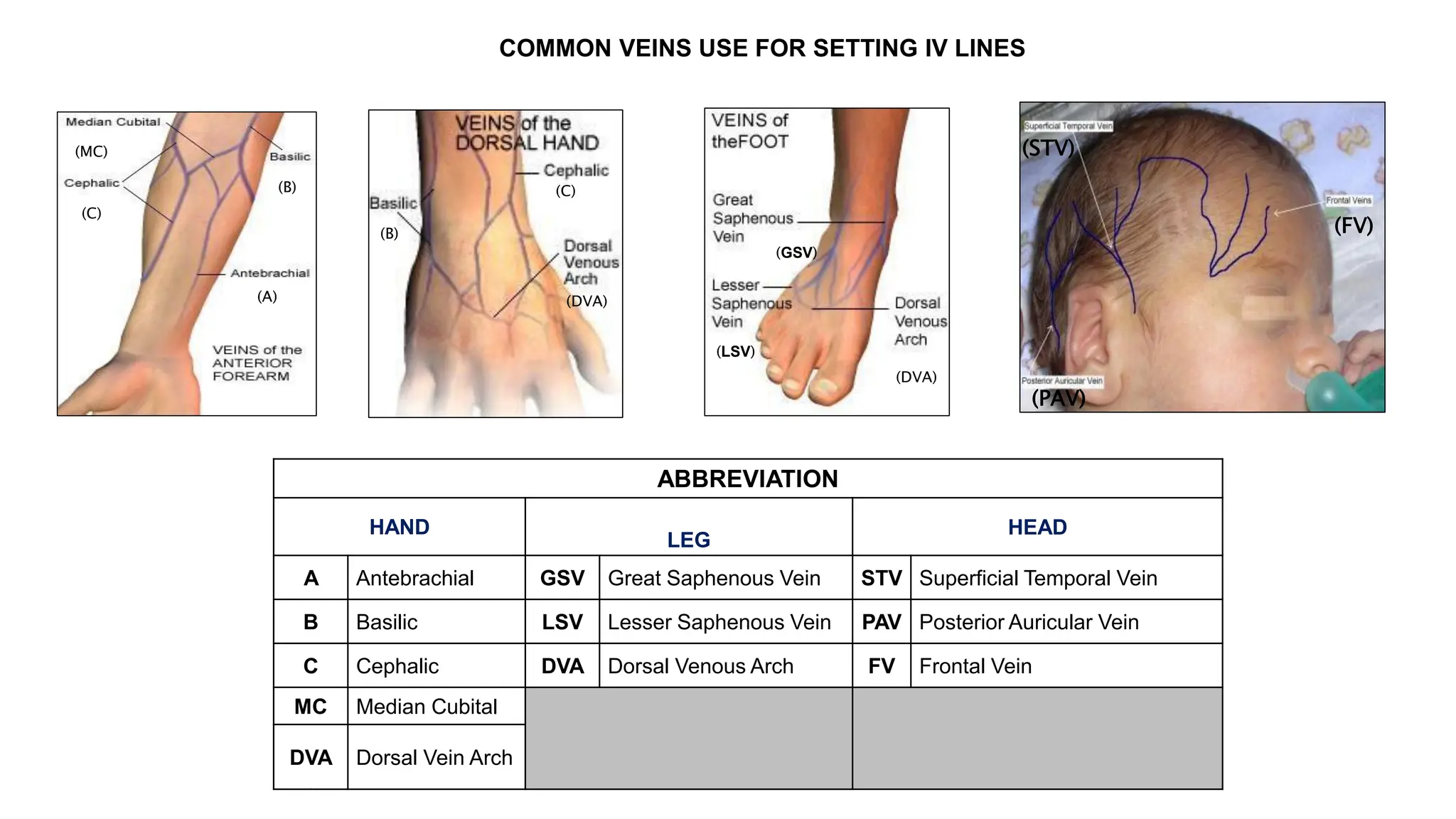 PHLEBITIS NEW INDICATOR FOR NURSES TEACHING SLIDE | PDF
