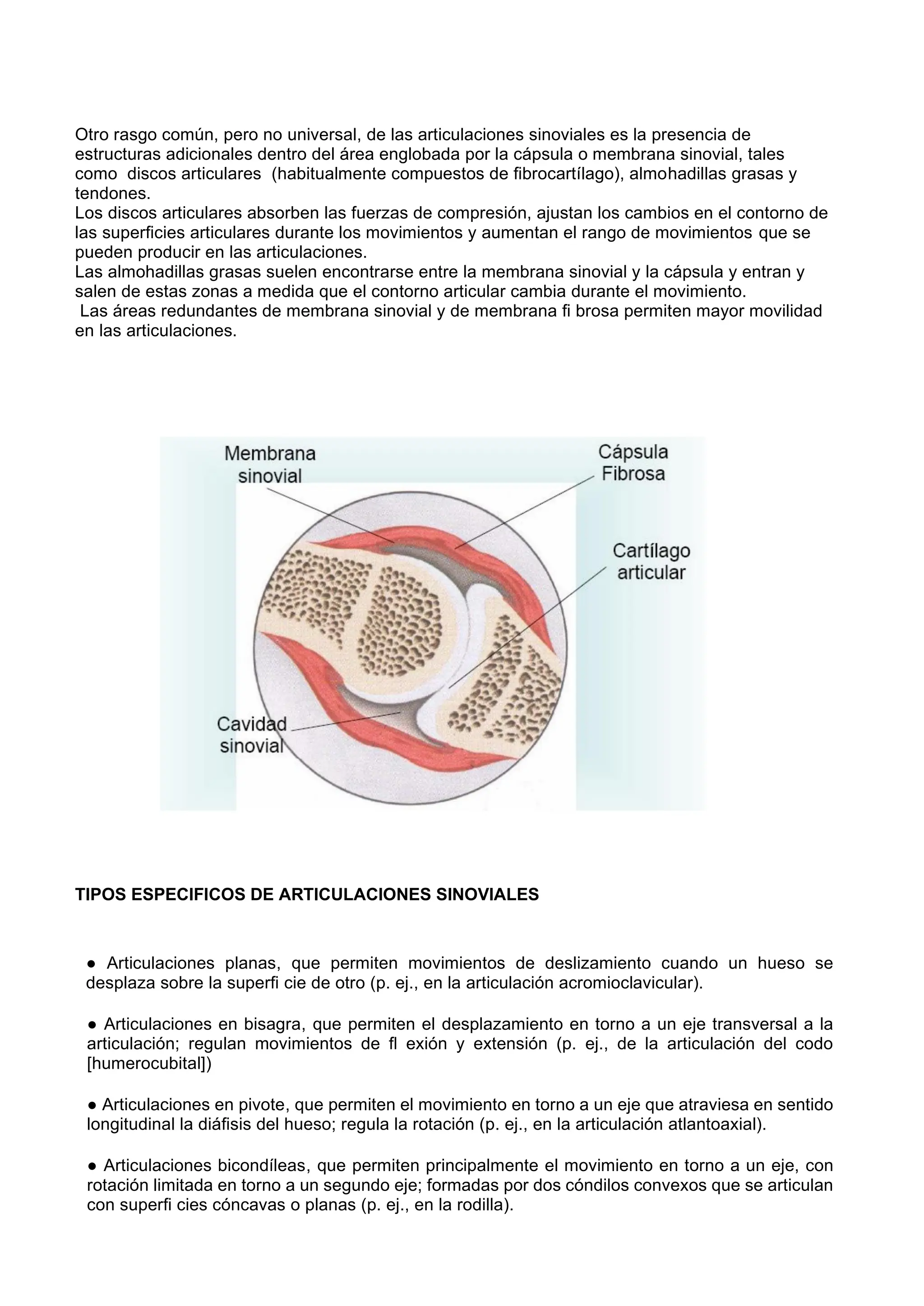 1.6 Tipos de articulaciones sinoviales y sólidas.pdf