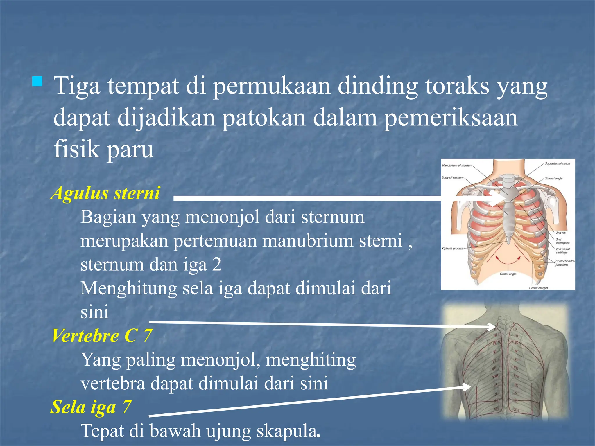 2.6.1.8 Pemeriksaan Fisik Diagnostik Paru.pptx